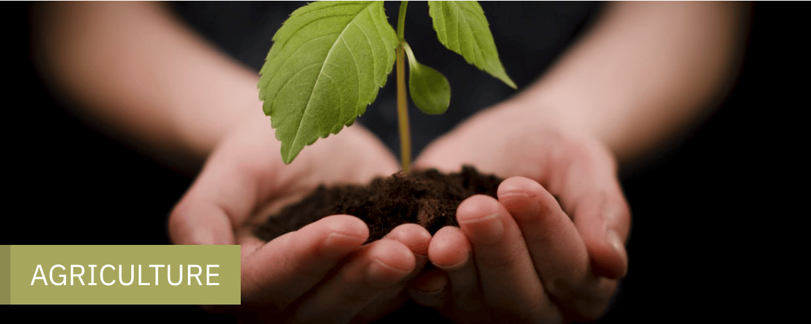 Church Planting Models for Success - I Will GO